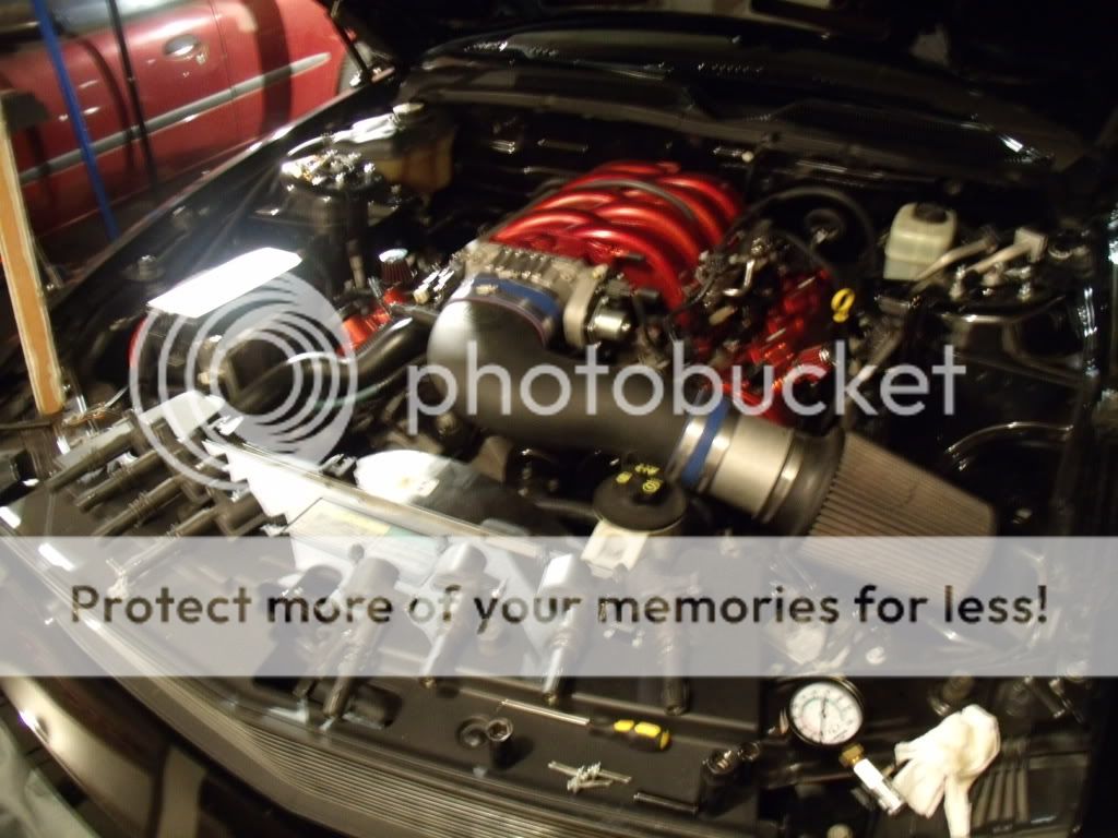 post pics of your (semi wire tuck) engine bay | S197 Mustang Forum ...