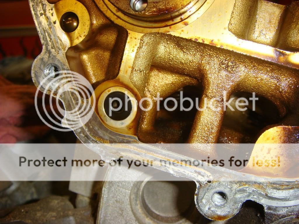 Timing Chain Replacement - Plate Metal Cover - Nissan Forum | Nissan Forums