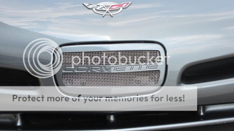 FS: Unique Front License Plate cover - CorvetteForum - Chevrolet ...