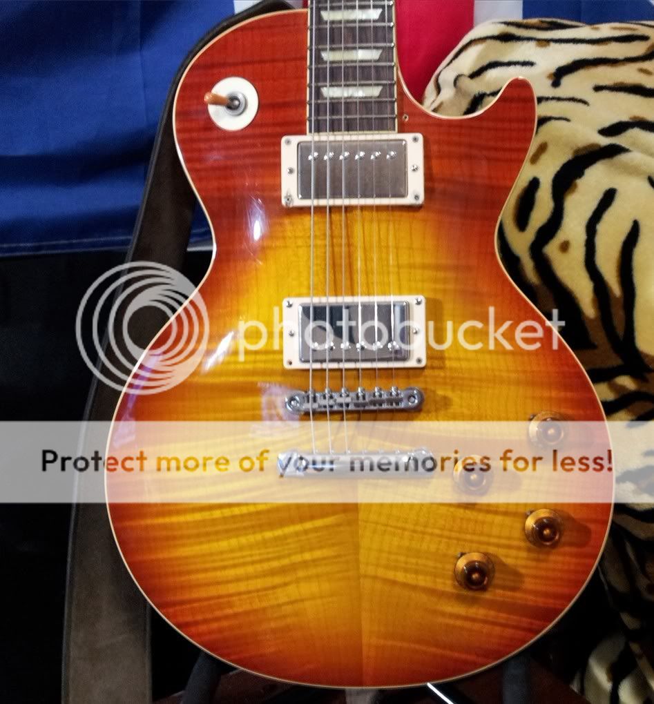 Needs Help: TOKAI LS260, LS230 | Tokai & Japanese Guitar Forum